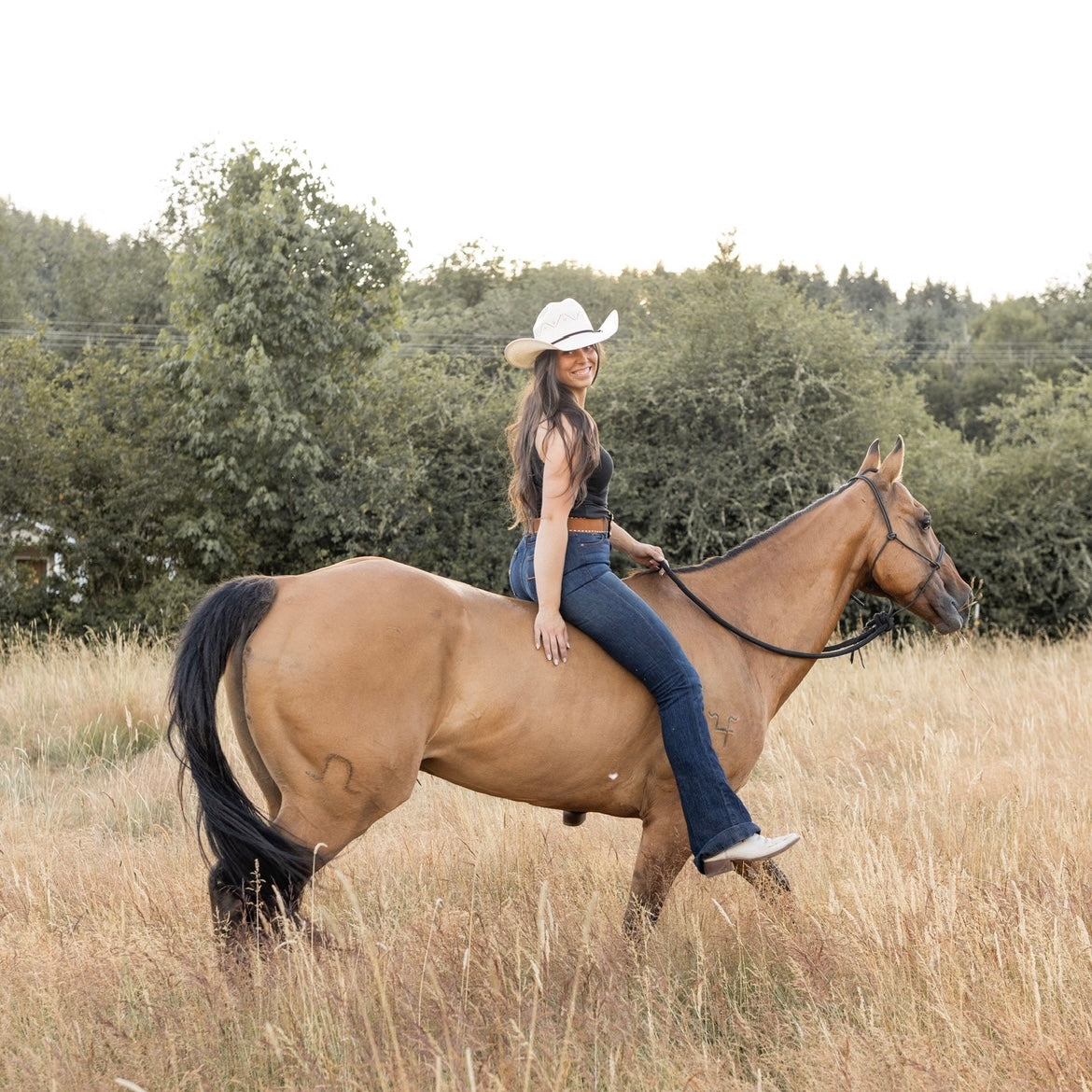 Twin Spurs Ranch Co.